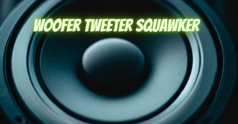 Woofer tweeter squawker - All For Turntables