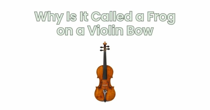 Why Is It Called a Frog on a Violin Bow - All For Turntables
