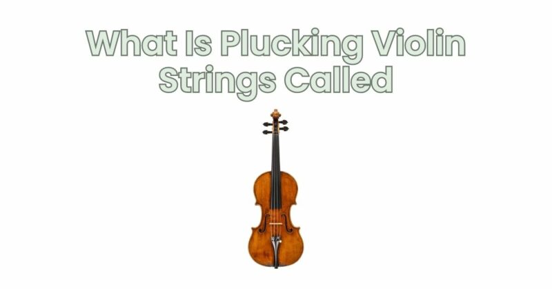 What Is Plucking Violin Strings Called - All For Turntables