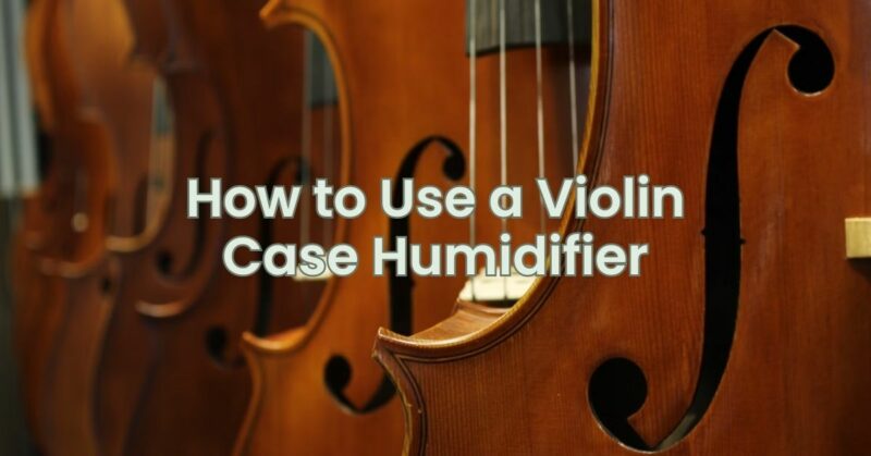 How to Use a Violin Case Humidifier - All For Turntables