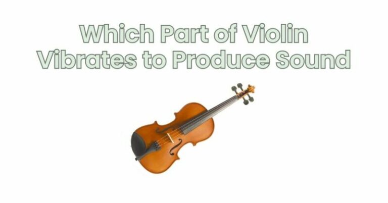 Which Part of Violin Vibrates to Produce Sound - All For Turntables