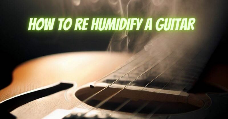 how to re humidify a guitar - All For Turntables