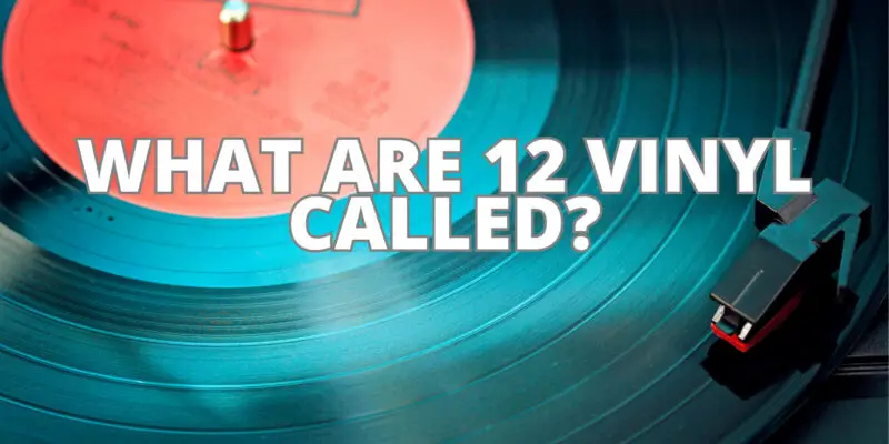What are 12 vinyl called? - All For Turntables